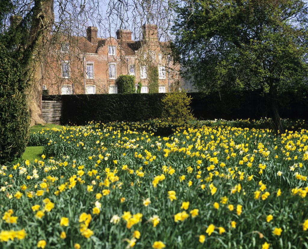Godinton House: mellow gables and daffodils galore - National Garden Scheme