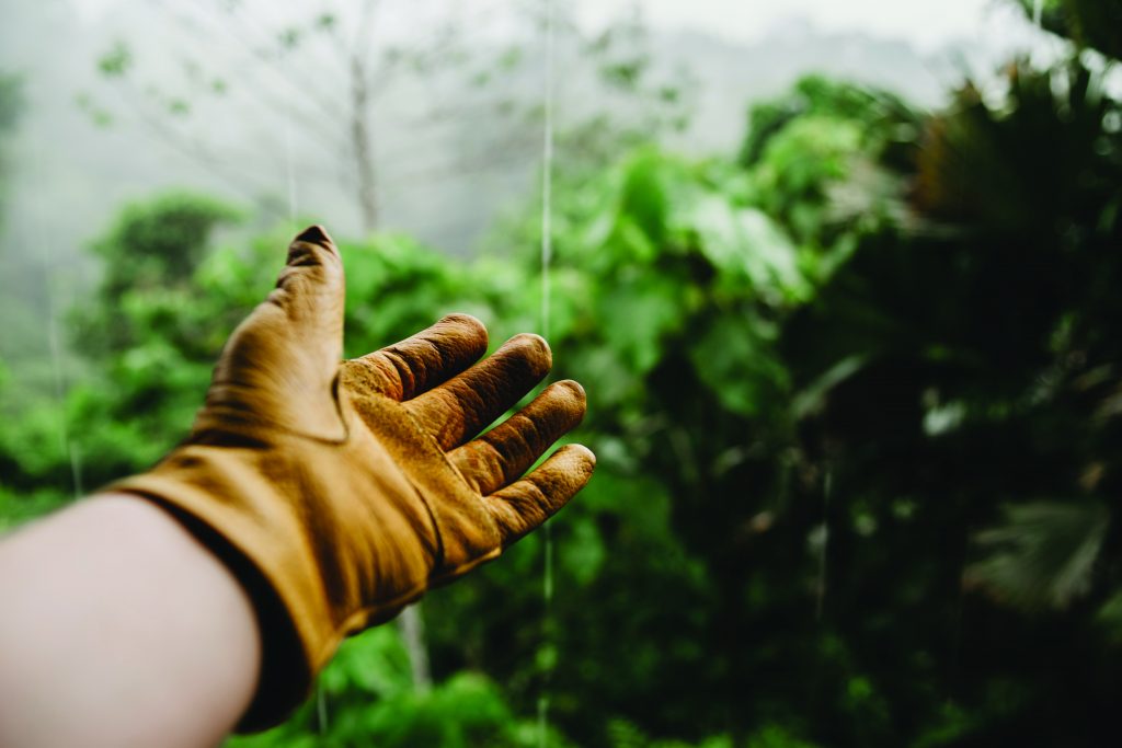 A helping hand in times of need - National Garden Scheme