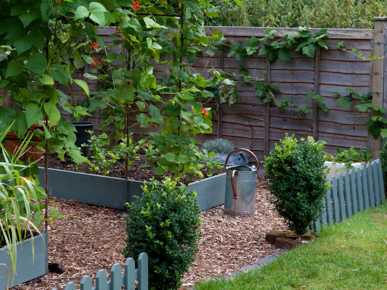 The generous garden: Oakleigh, Surrey - National Garden Scheme