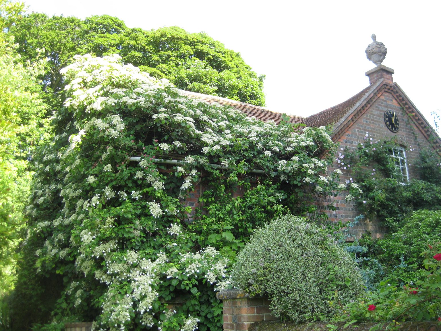 ‘The most beautiful Old Rectory in England’ - National Garden Scheme