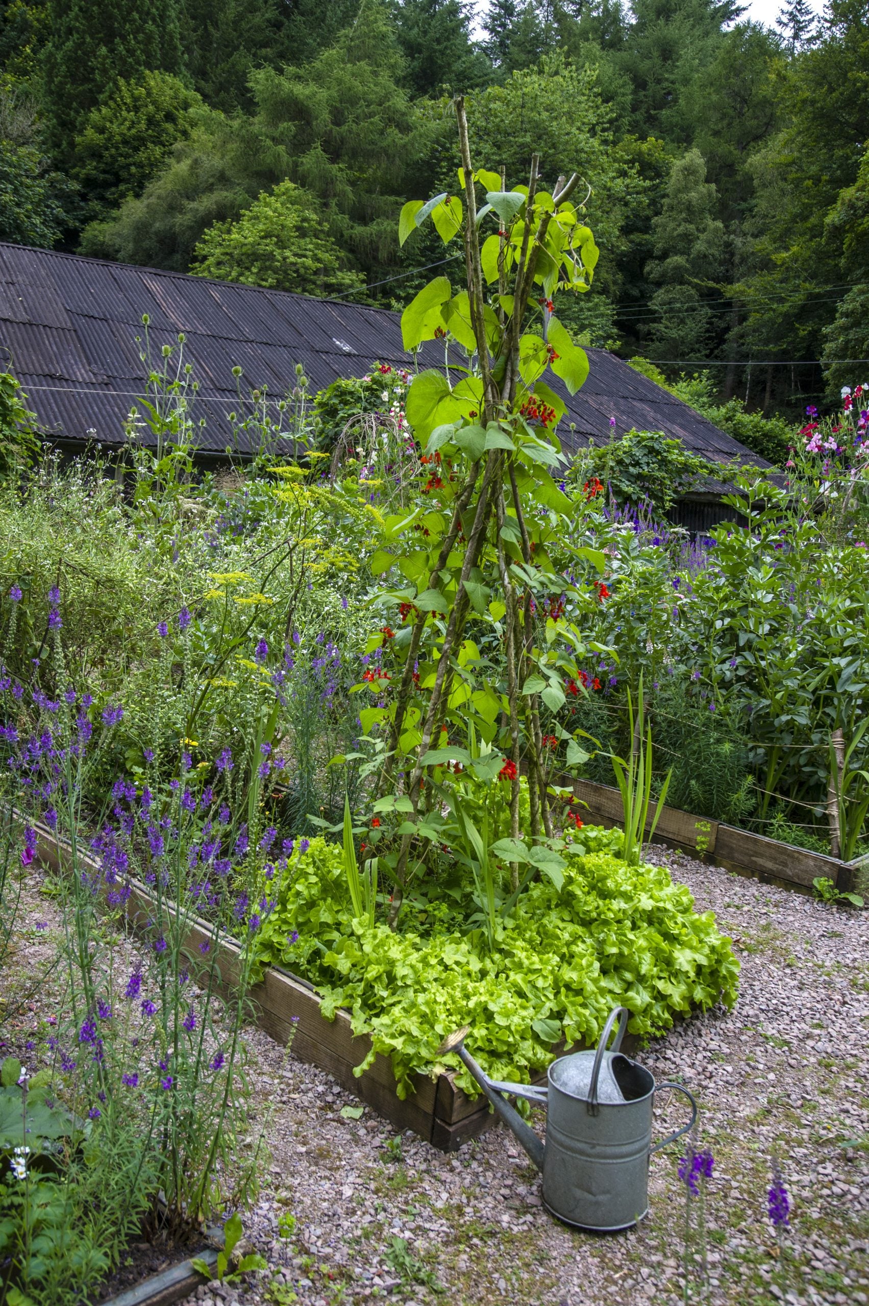 How to make the perfect compost with Nant y Bedd, Powys - National ...