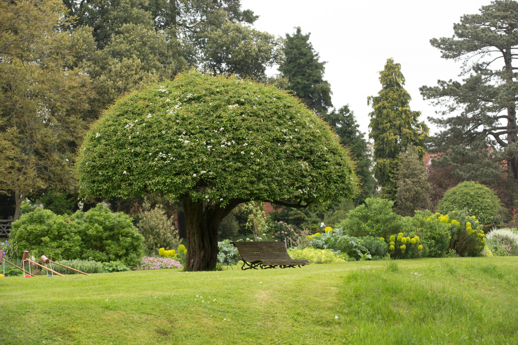 Lavenham Hall: Sculpted to perfection - National Garden Scheme