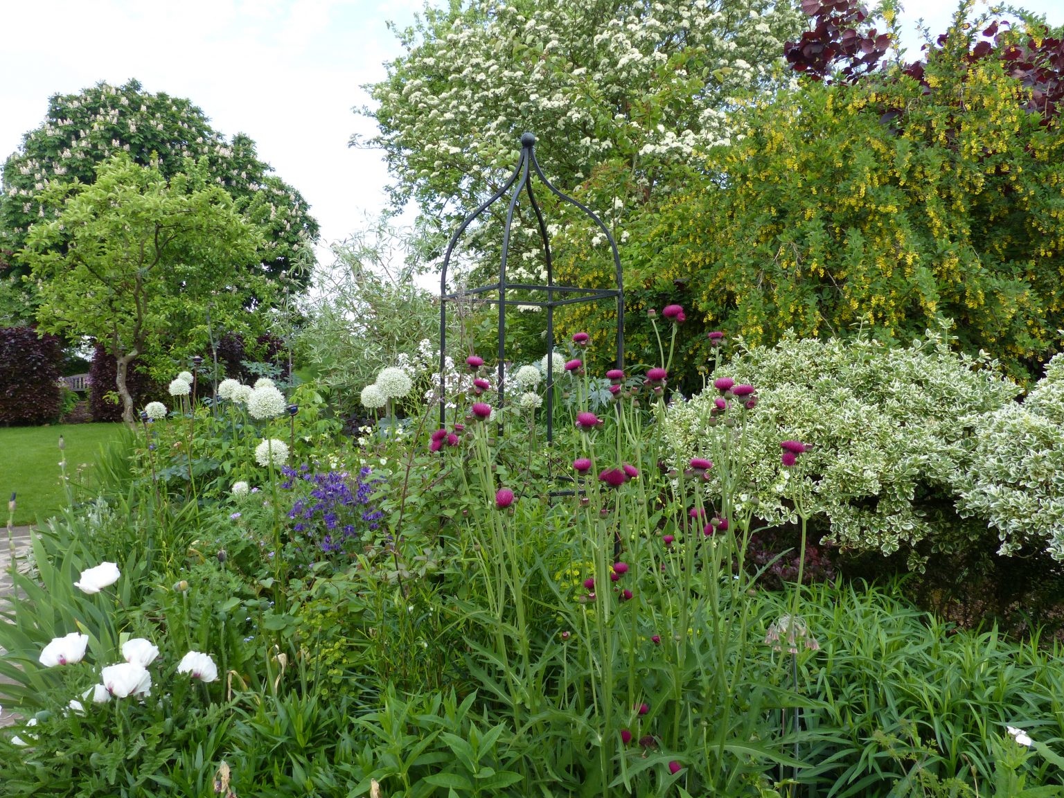 The Croft House; a passion for colour and texture - National Garden Scheme