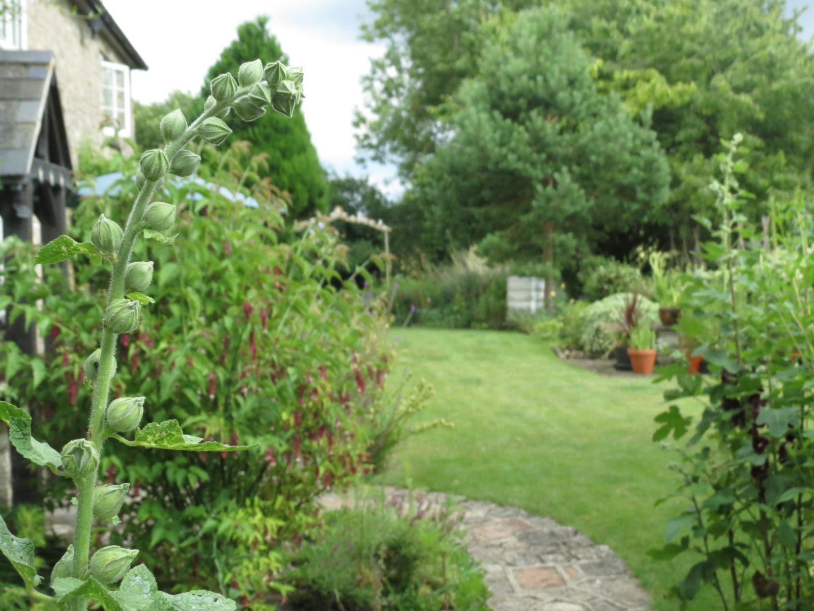 Glebe Farm, Buckinghamshire; a labour of love - National Garden Scheme