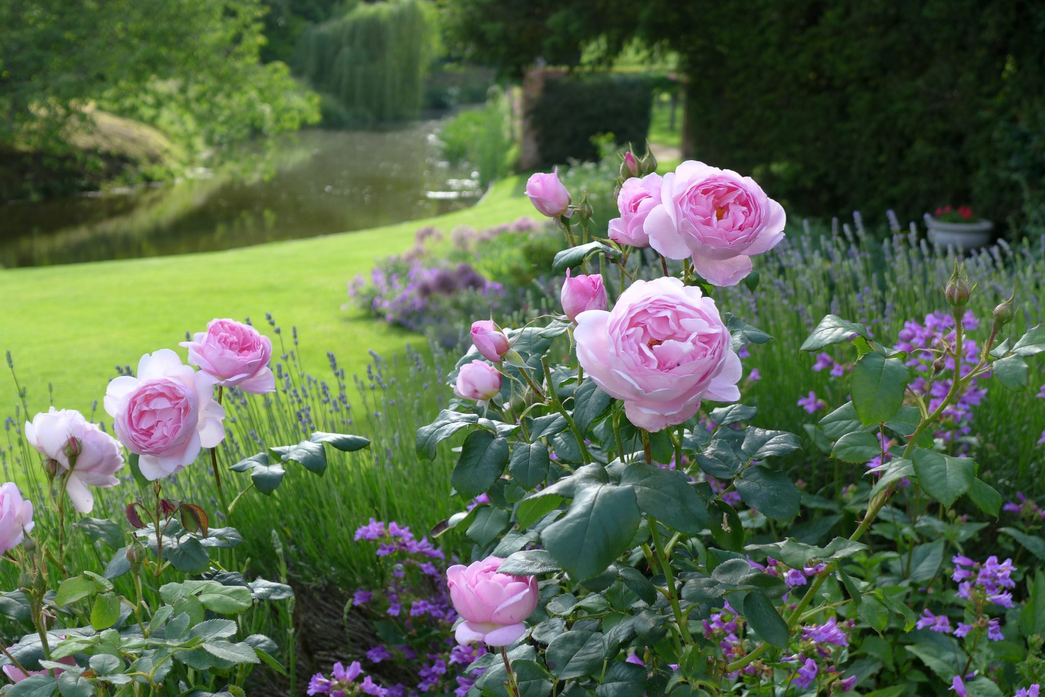 Great Thurlow Hall, Suffolk; an English idyll - National Garden Scheme