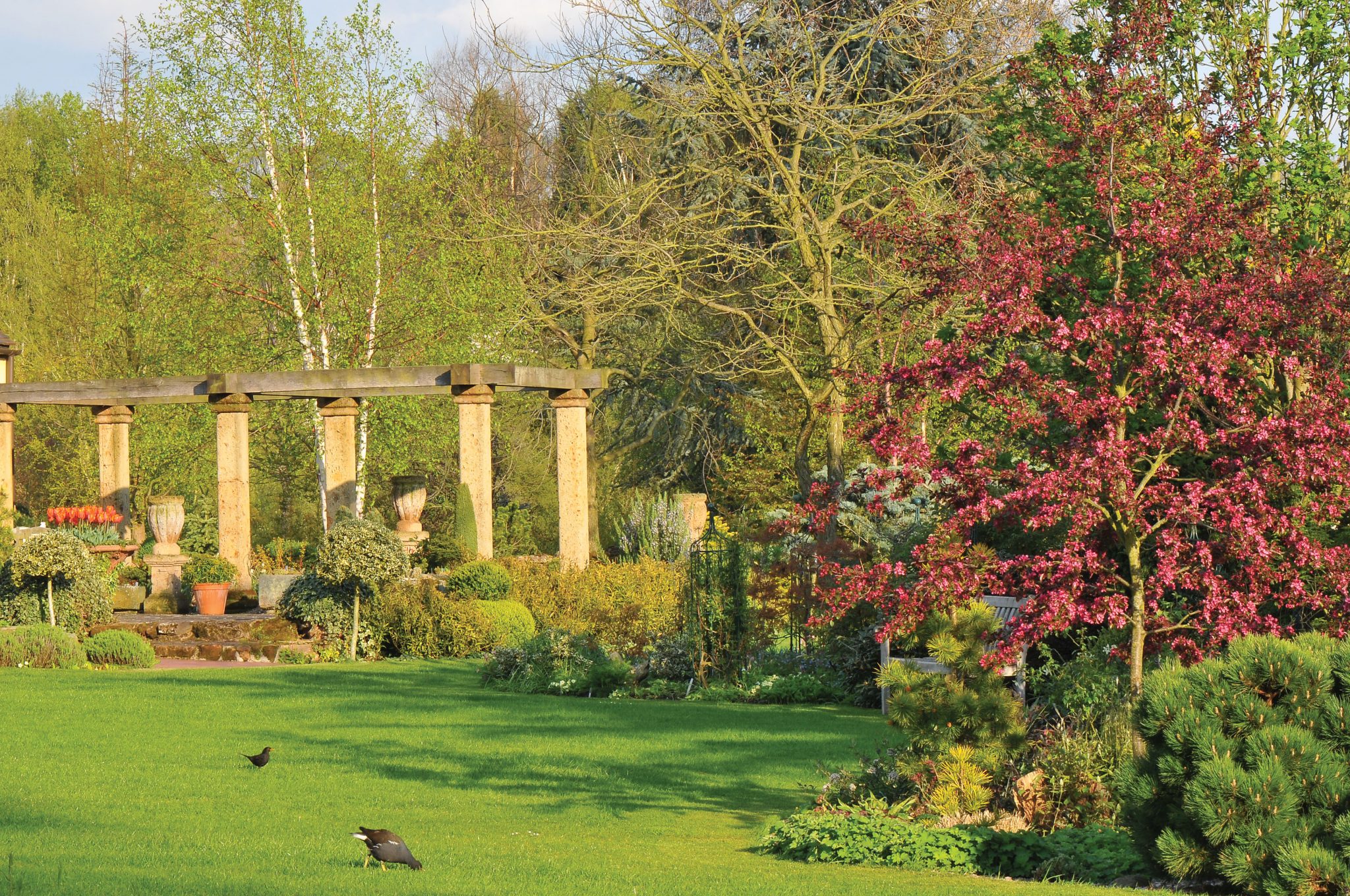 John's Garden, Staffordshire; step into nature - National Garden Scheme