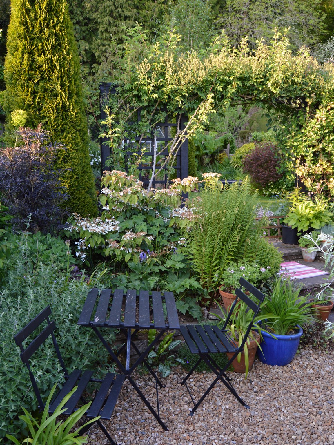 Inspirational small gardens; a tiny taster - National Garden Scheme
