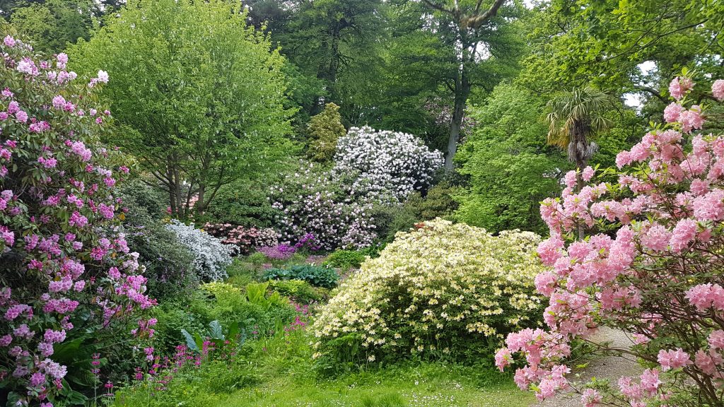 Recording of 'Minterne Himalayan Garden - 250 years of development ...