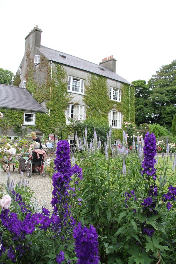 Northern Ireland gardens join the National Garden Scheme - National ...