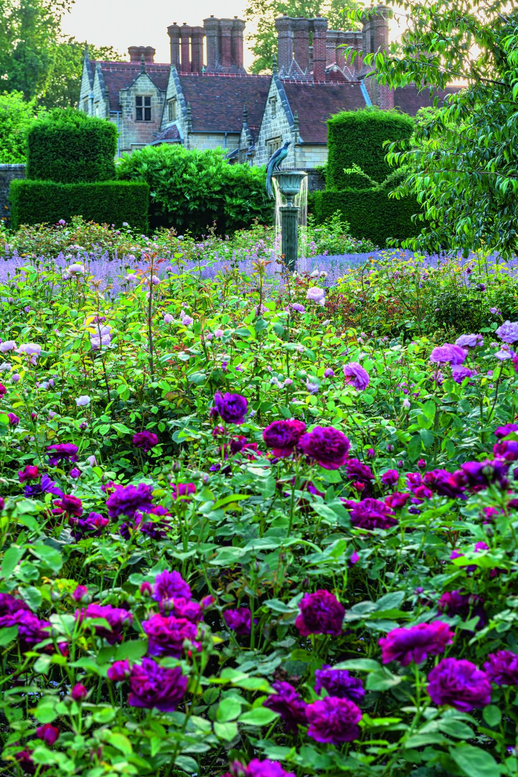 Recording of 'Borde Hill – Planthunter’s Paradise' - National Garden Scheme