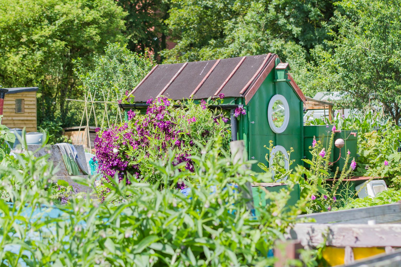 The Potty Plotters grow your own blog; March to April - National Garden ...