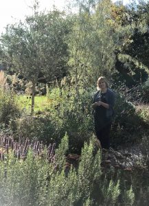 Gardens for people and wildlife - National Garden Scheme