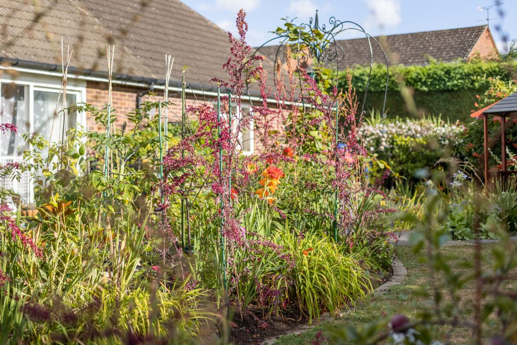What's it like to grow an edible garden? - National Garden Scheme
