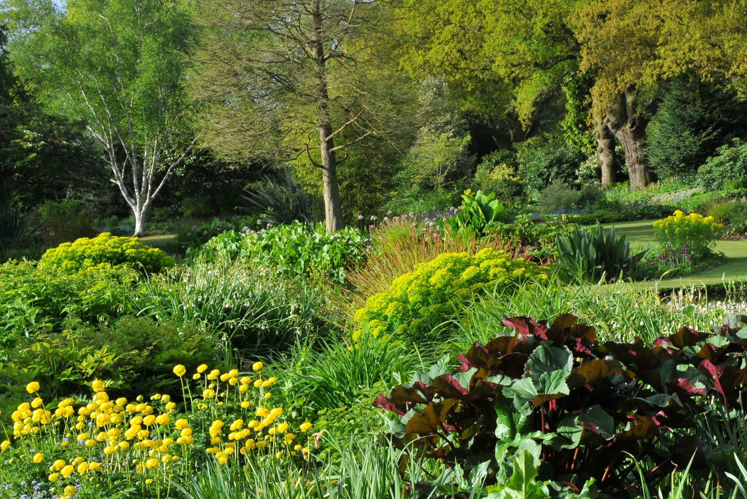 Recording of 'Gardening in the Dolfor Hills' - National Garden Scheme