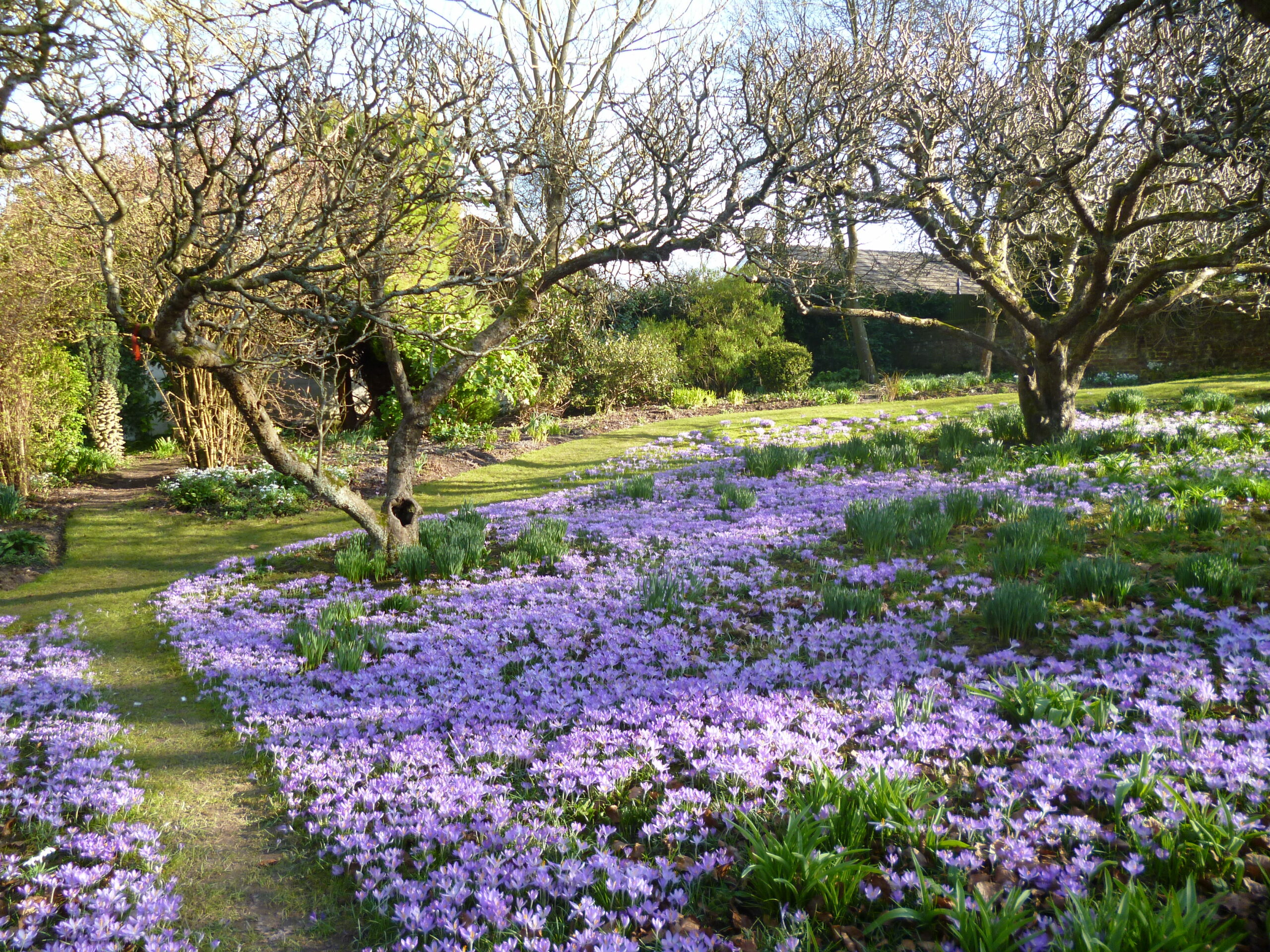 Little Court Garden, a remarkable spectacle - National Garden Scheme