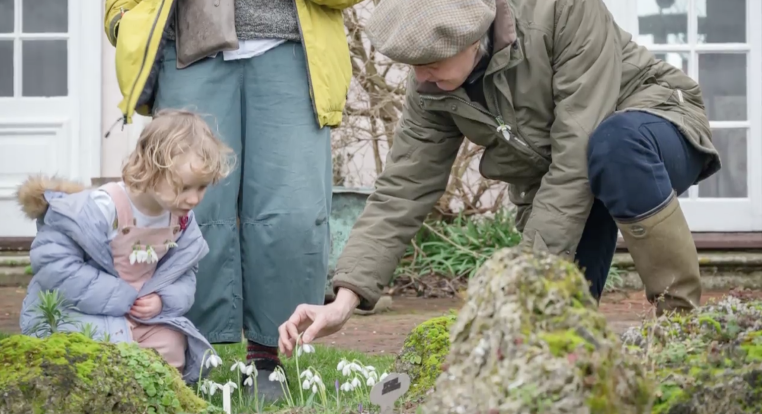 Gardens to explore in the February half term - National Garden Scheme