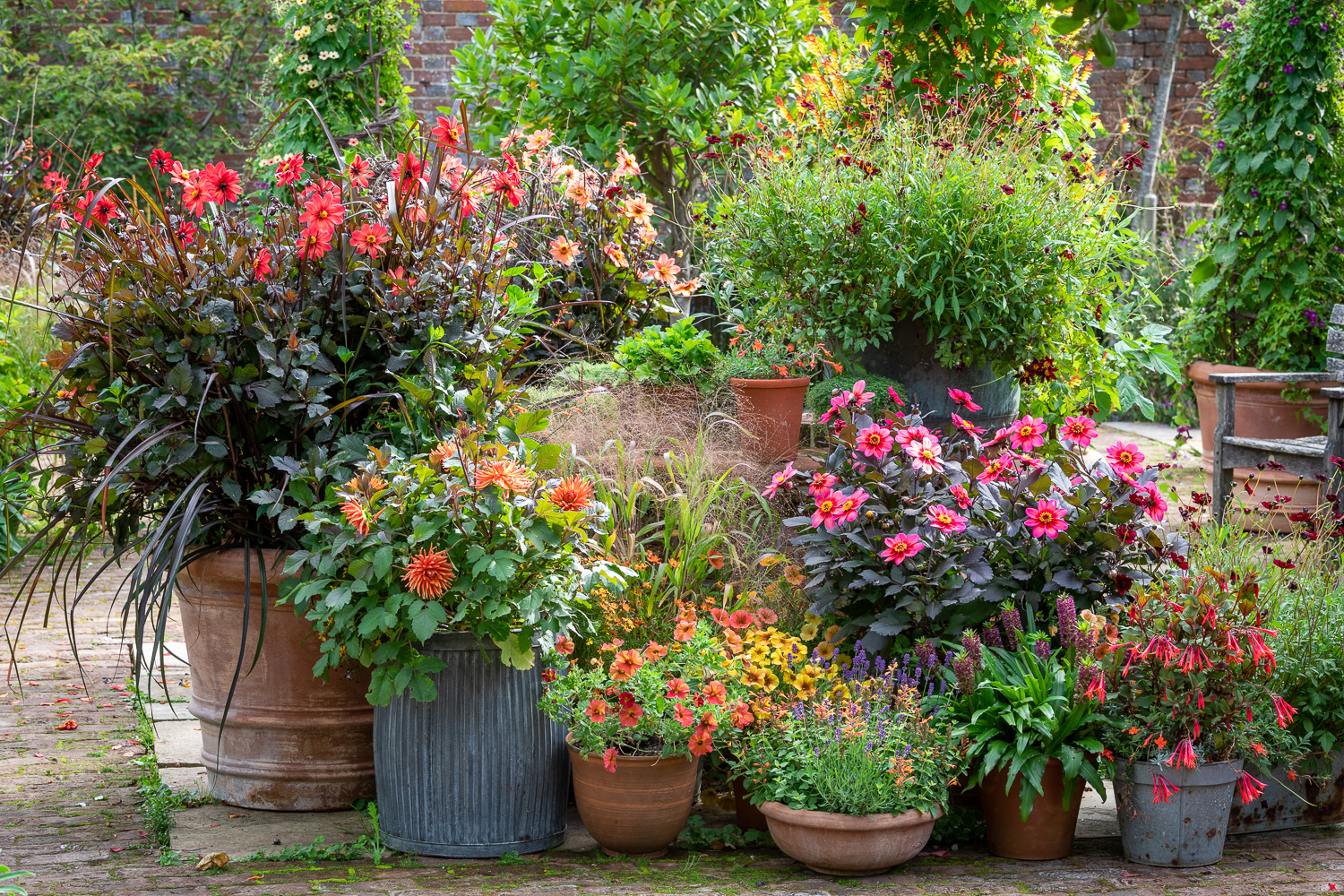 Top tips from Sarah Raven on getting the most from your containers and ...