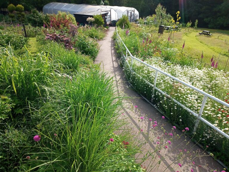 The Growing Space Garden; my comfort zone - my happy place - National Garden Scheme