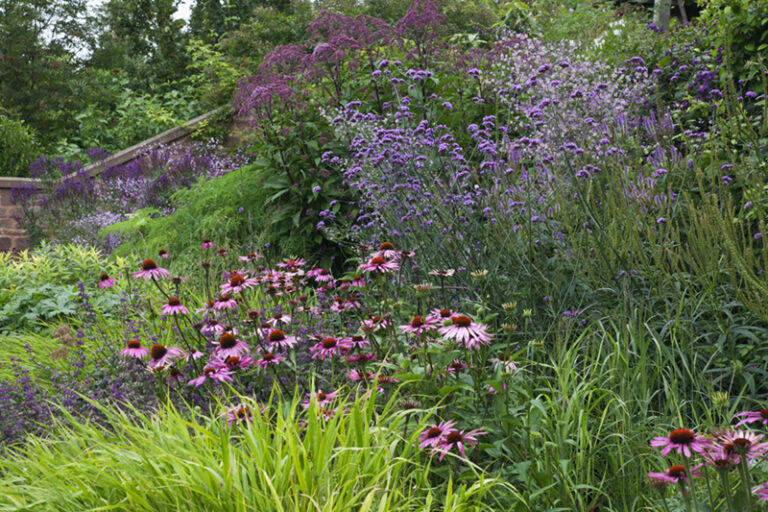 Tom Stuart-Smith - National Garden Scheme