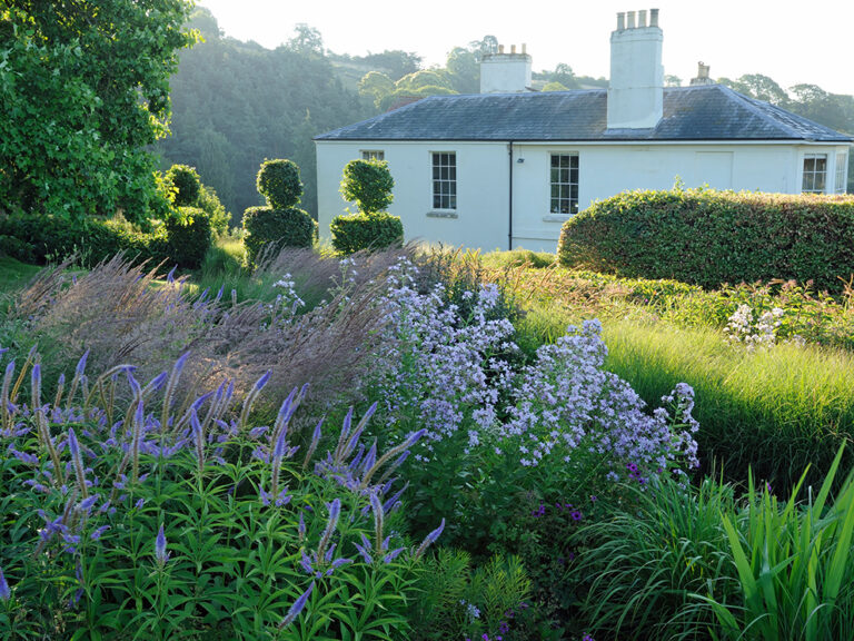 Tom Stuart-Smith - National Garden Scheme