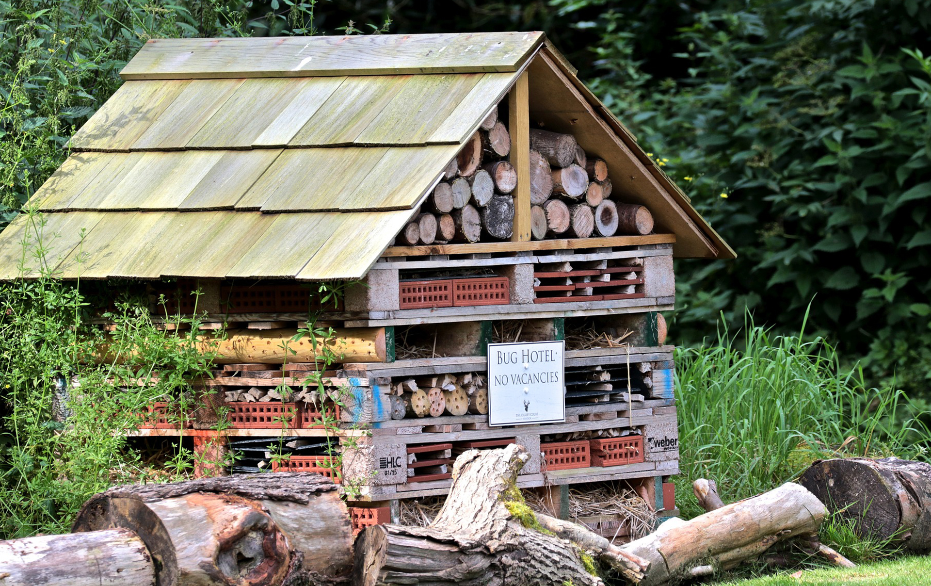 How to increase biodiversity in your garden - National Garden Scheme