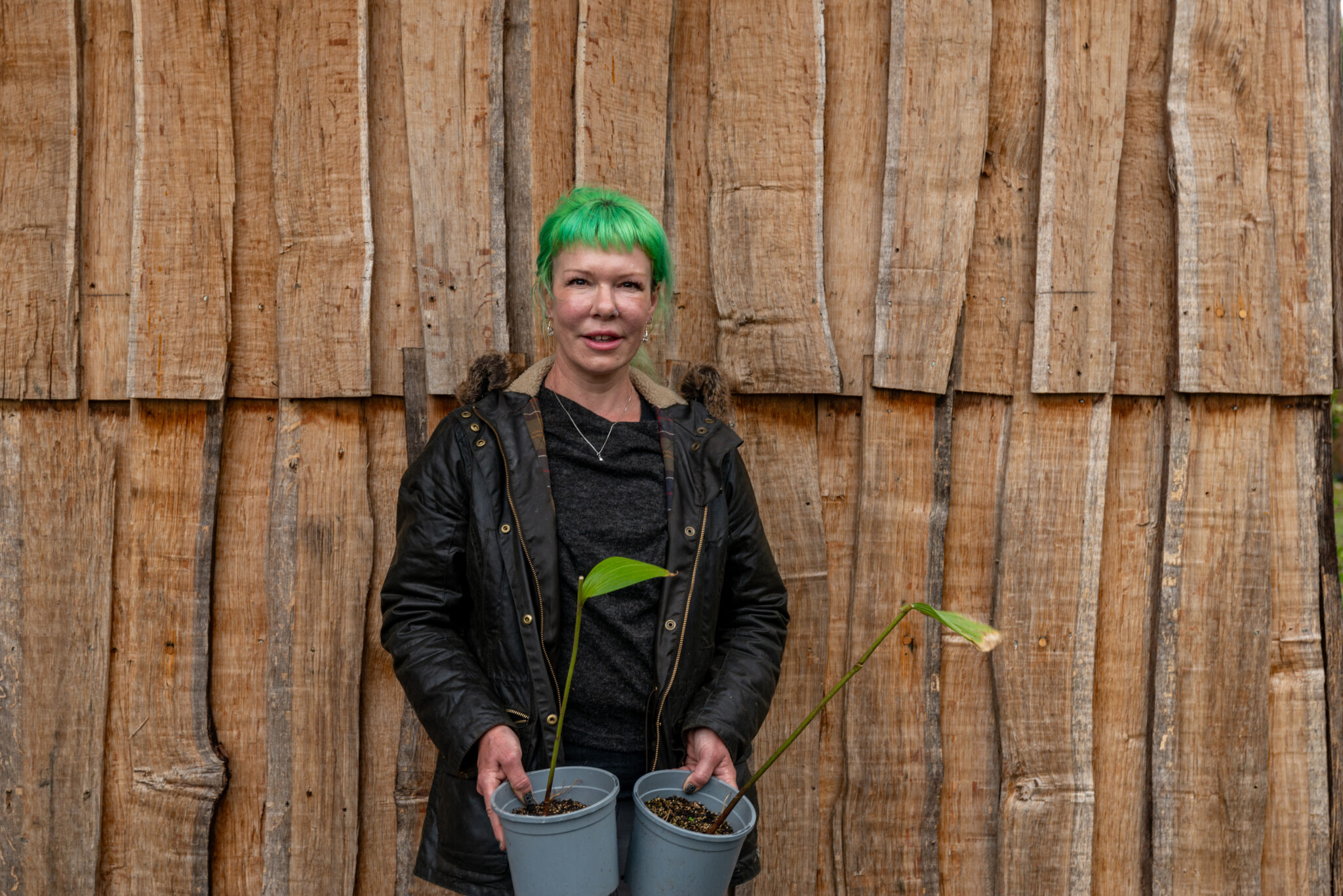 Garden owners supply plants for our RHS Chelsea Flower Show garden ...