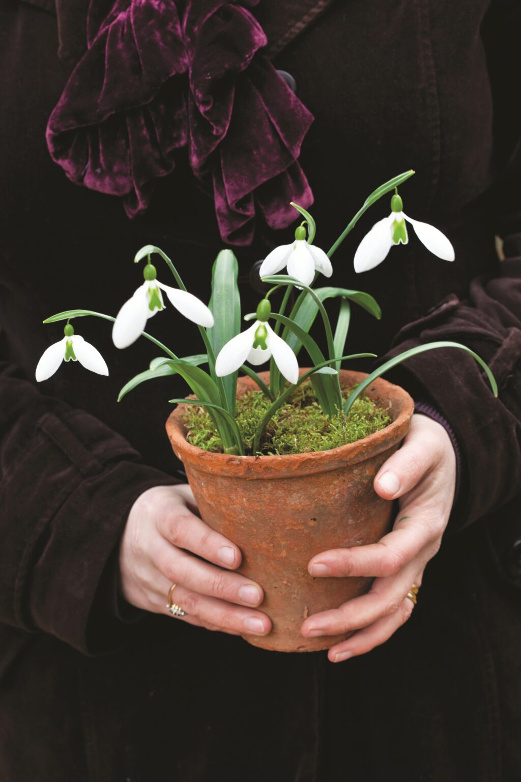 Sarah Raven shares her tips for creating a wonderful display of ...