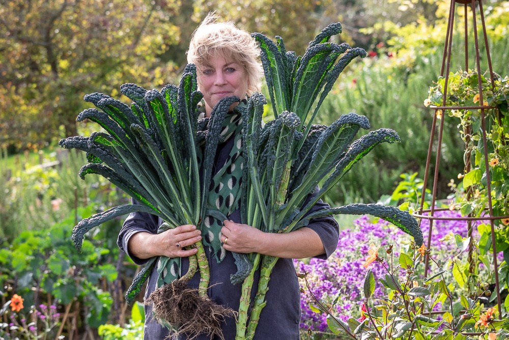 Sarah Raven's top tips: Pave the way for a homegrown harvest - National ...