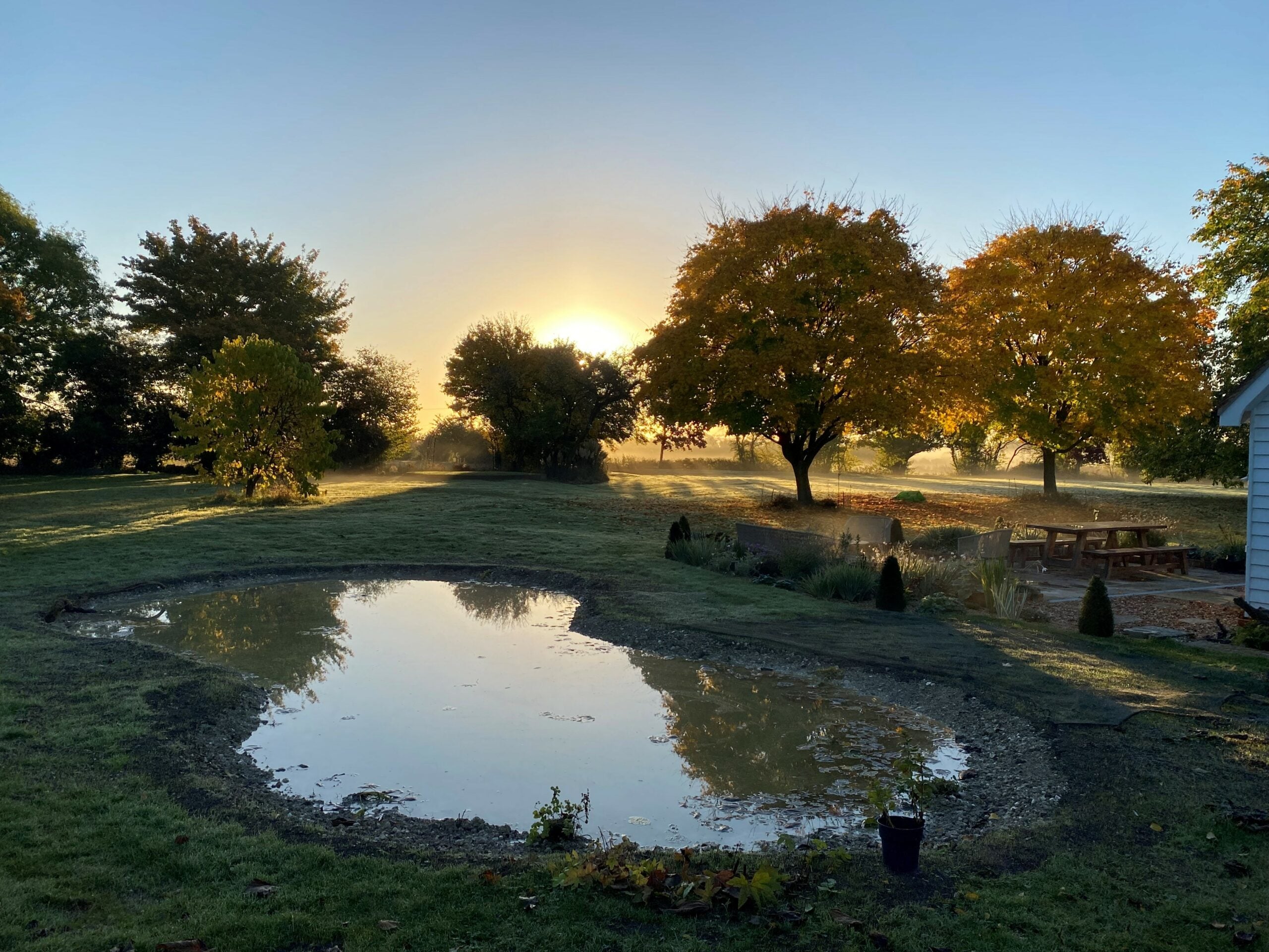 A passion for ponds... - National Garden Scheme