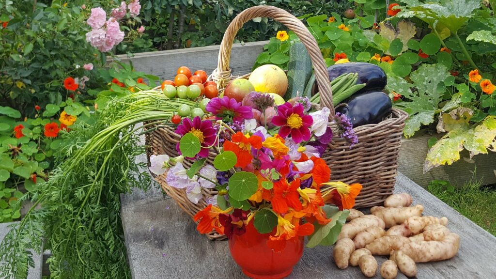 Celebrating National Allotment Week - National Garden Scheme