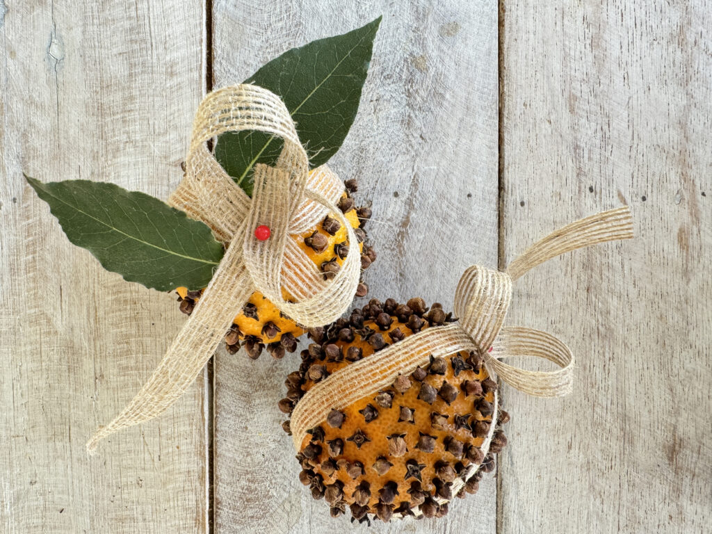 Orange and Clove Pomanders - National Garden Scheme