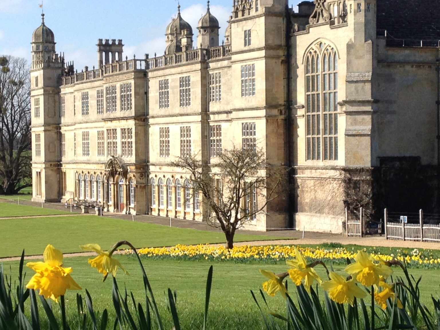 Great daffodil gardens to visit this spring - National Garden Scheme