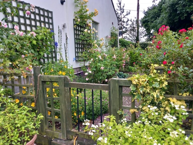NEW Welsh gardens to explore in 2025 - National Garden Scheme