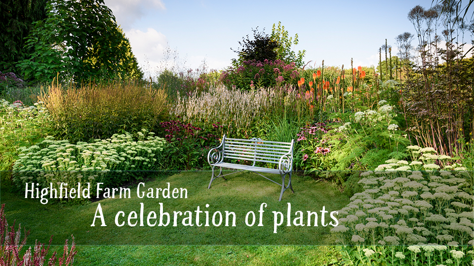 Highfield Farm Garden: A celebration of plants - National Garden Scheme