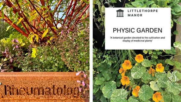 Littlethorpe Manor: where medicine meets the magic of horticulture ...