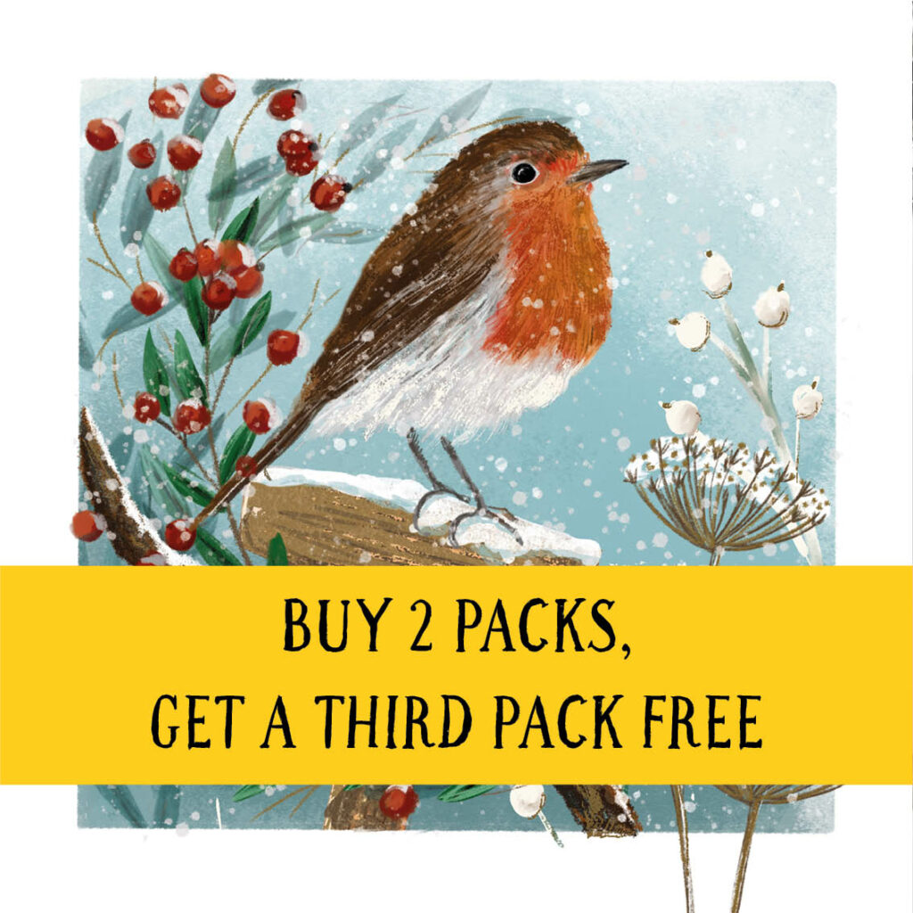 Frosty Robin Christmas cards - National Garden Scheme
