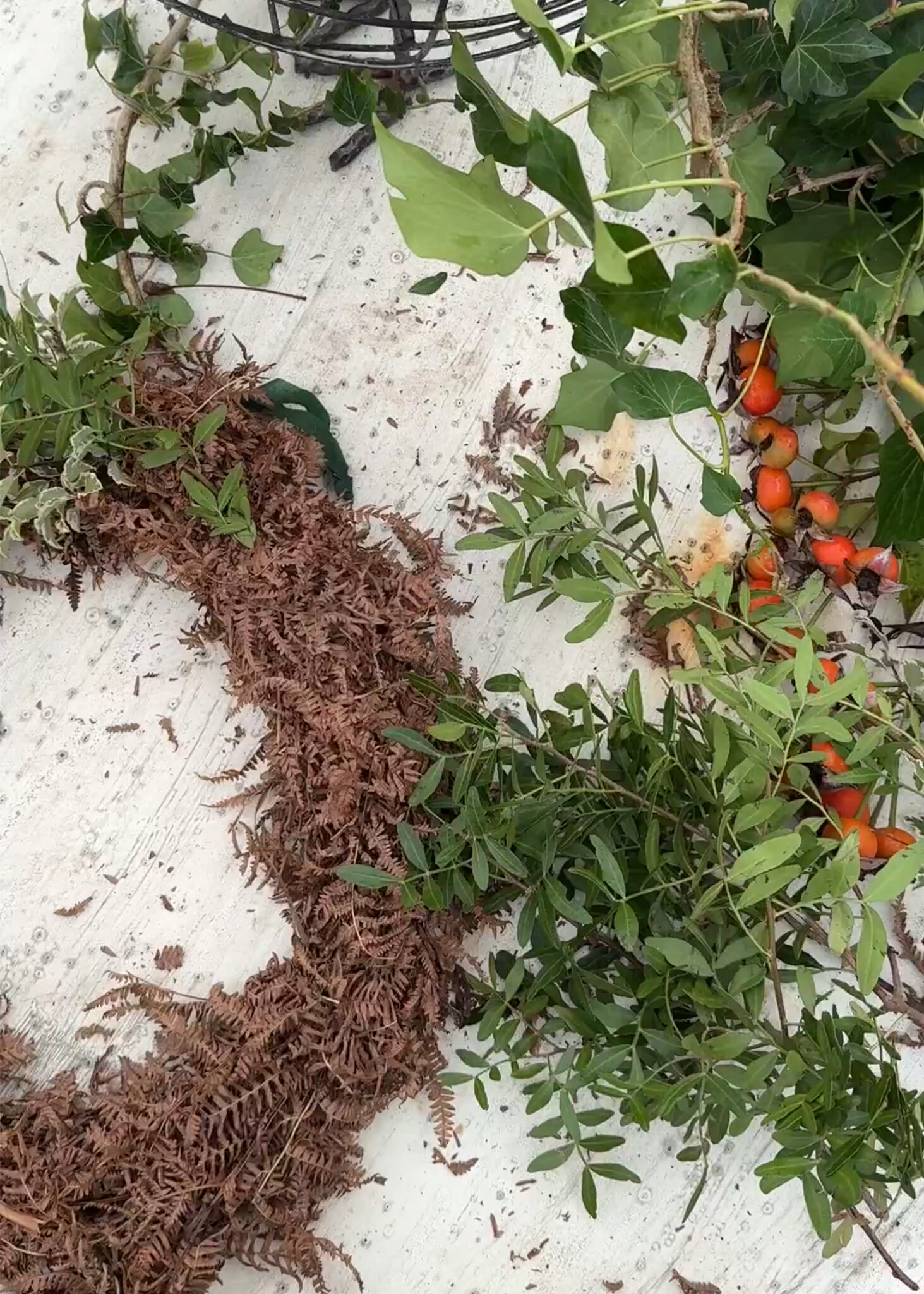 How to make a simple bracken-base wreath - National Garden Scheme