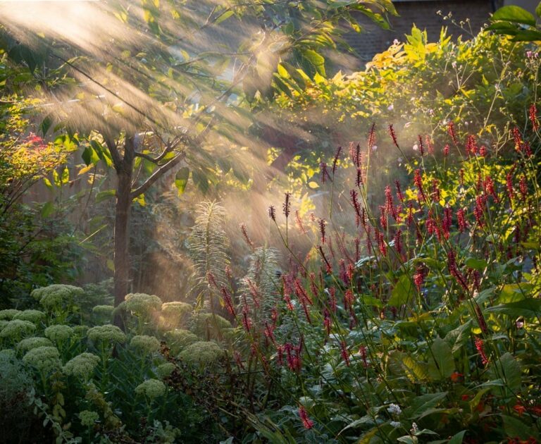Art in our gardens this year - National Garden Scheme